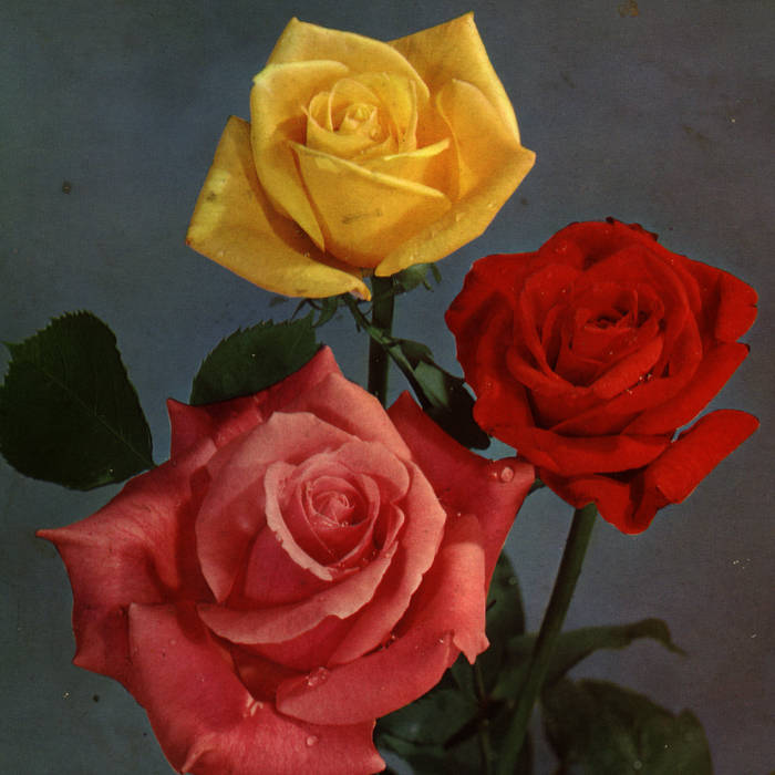 The Straggler – Static Clang